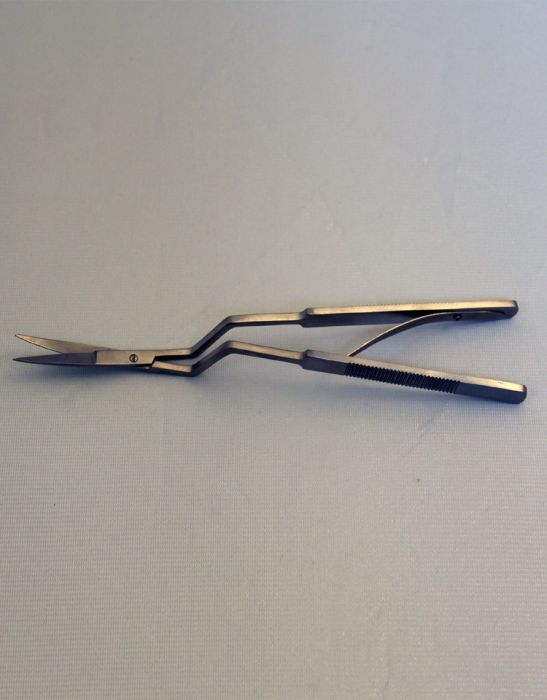 Double Curved Scissors