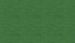 Linen Texture Fabric | Grass Green